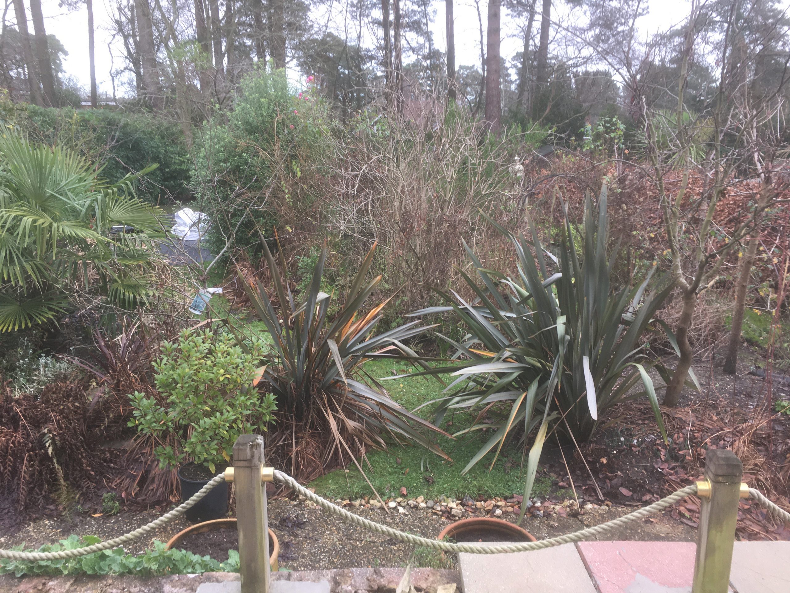 The Semi-Circular Border – The Garden at 13 Broom Acres