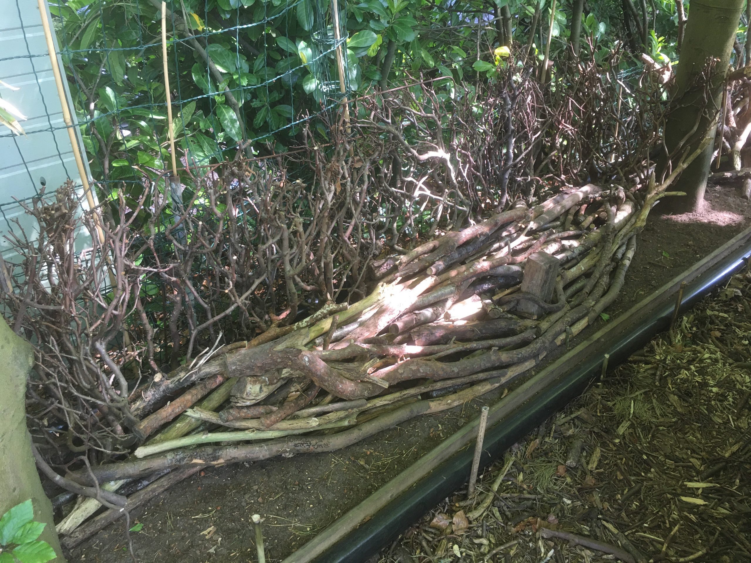 Rubbish Work – Sunil's Garden