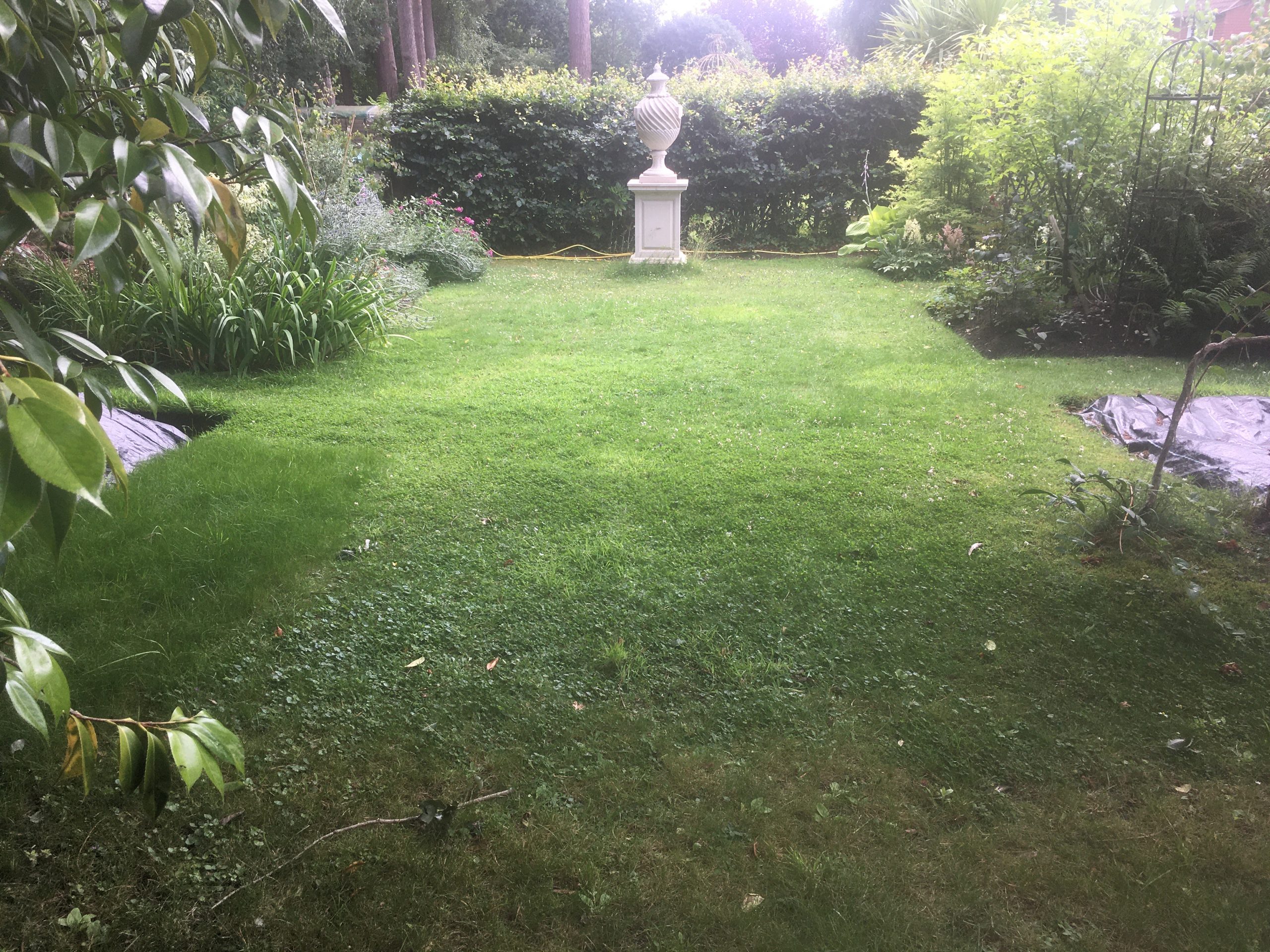 Finishing the Willow Border – The Garden at 13 Broom Acres